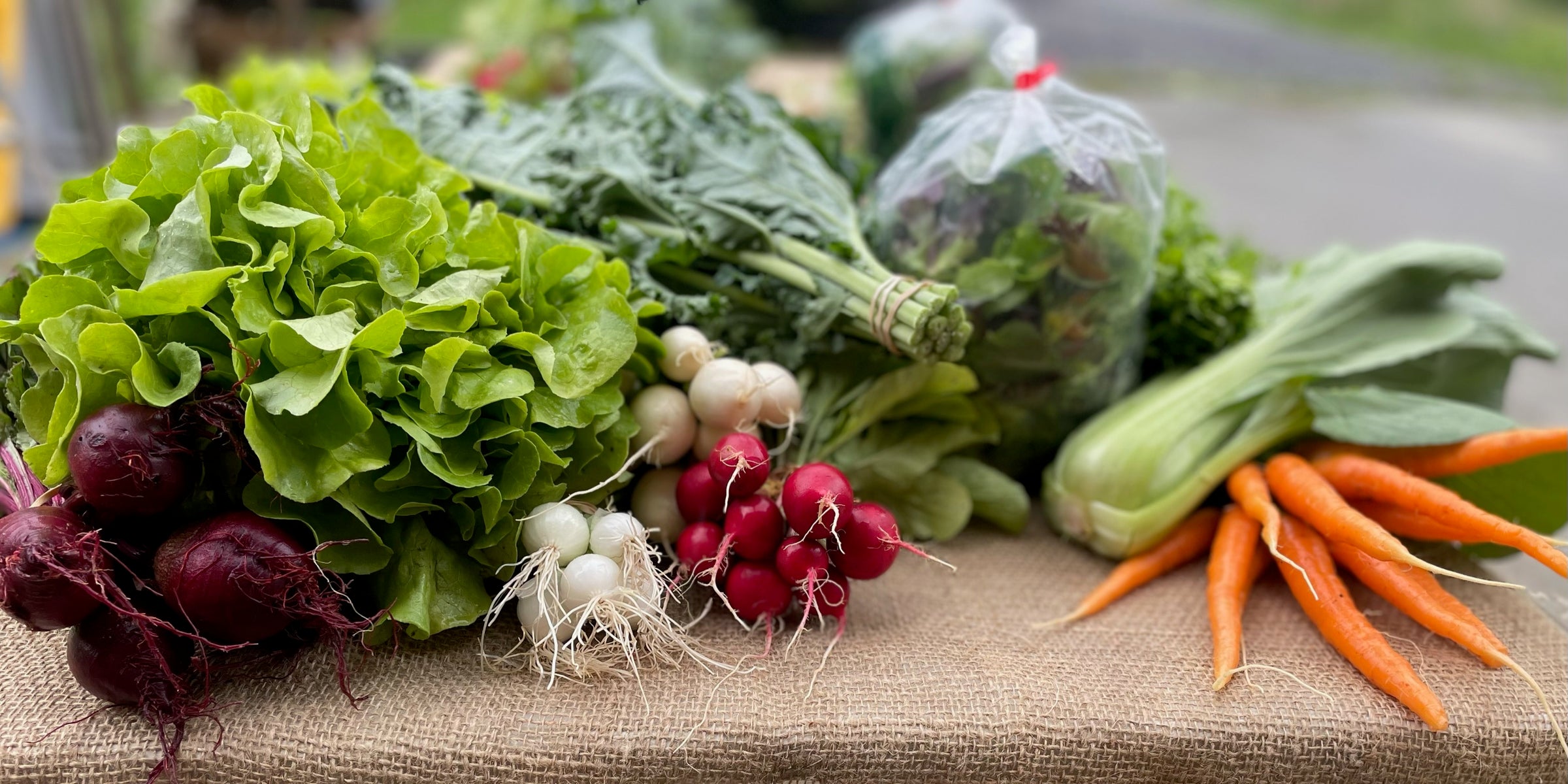 Home | Seven Seeds Farm NC